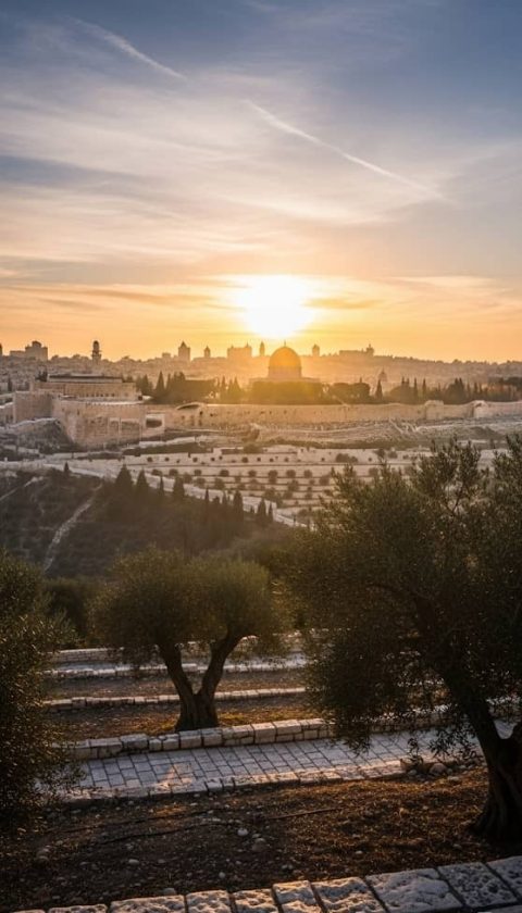 First-Timer's Guide to the Holy Land: Your Complete Christian ...